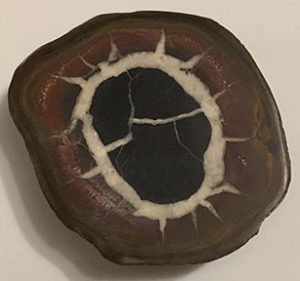 Fossilized Mud Cracks | SunGlow Chakras